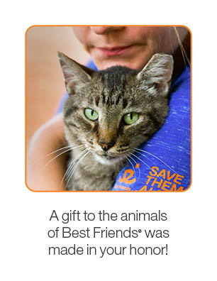 Gift Catalog: Helping A Shelter Achieve No-Kill Package – Best Friends ...