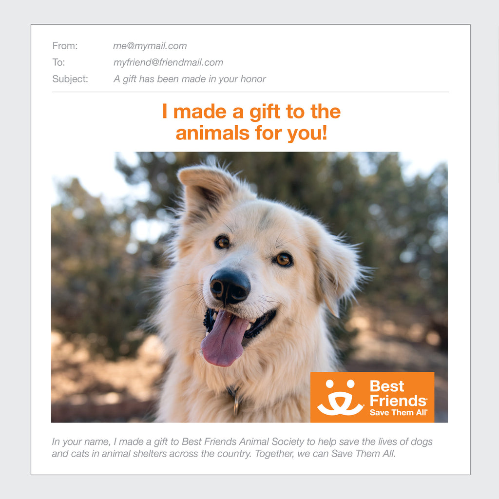 Sponsor Dean Martin – Best Friends Animal Society's Catalog of Kindness